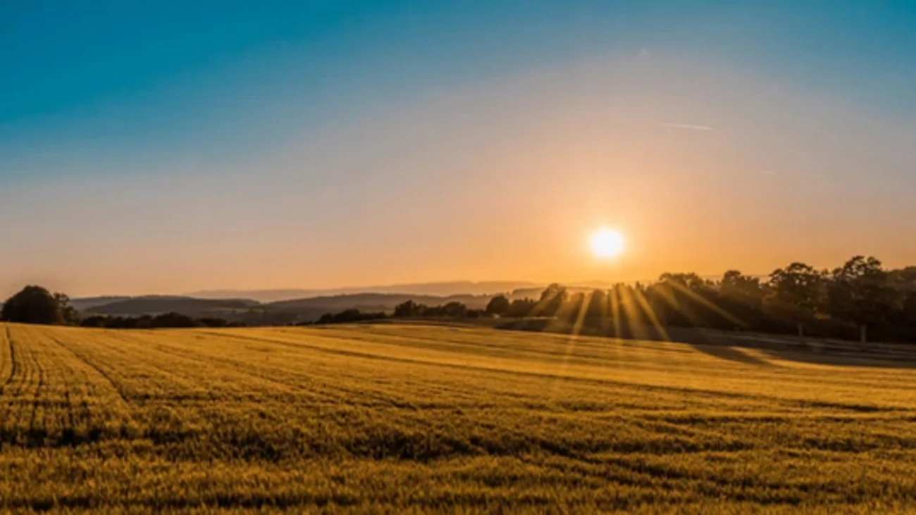 До +26. О погоде в Алтайском крае 12 июня